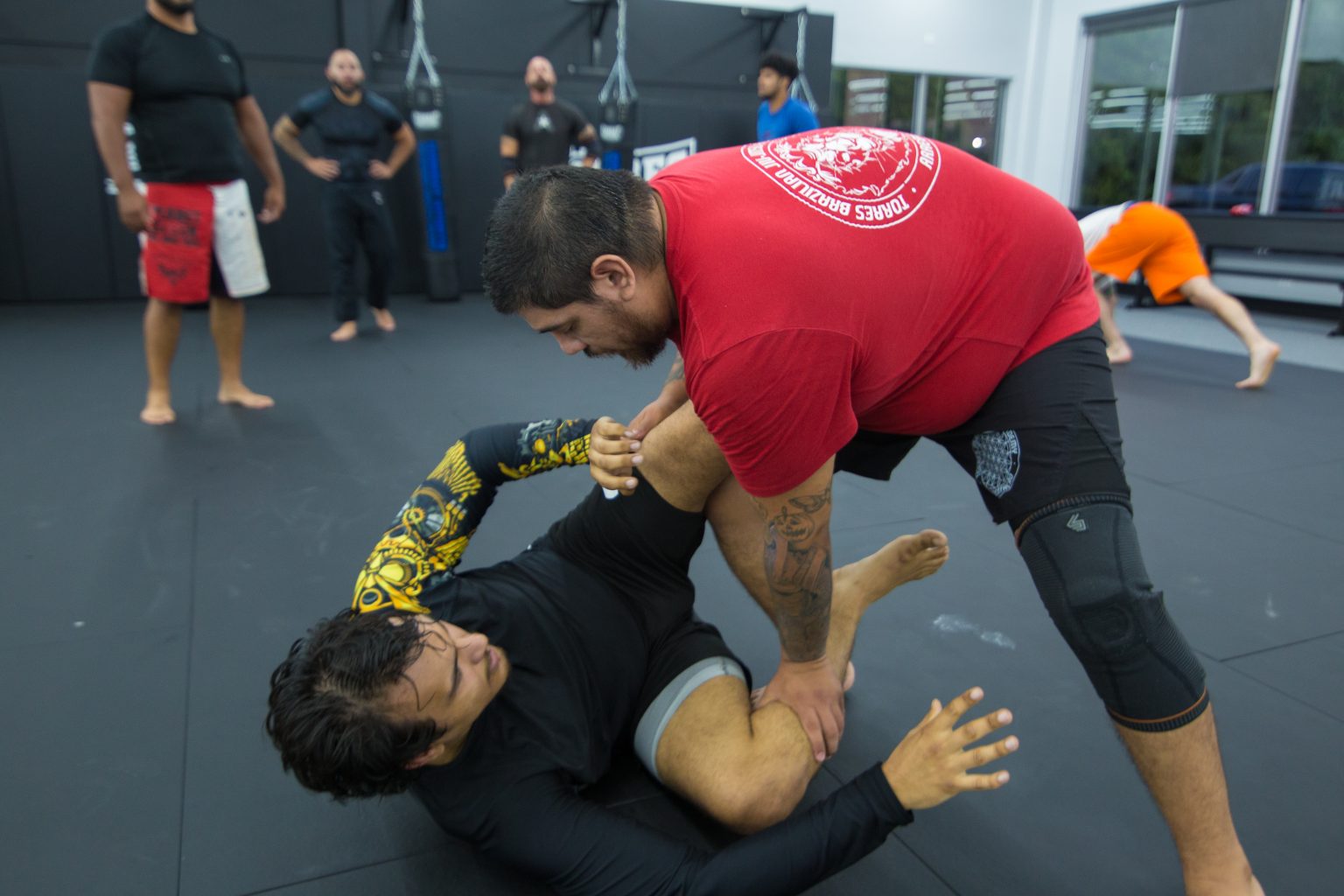 Brazilian Jiu-Jitsu – Torres Martial Arts Academy
